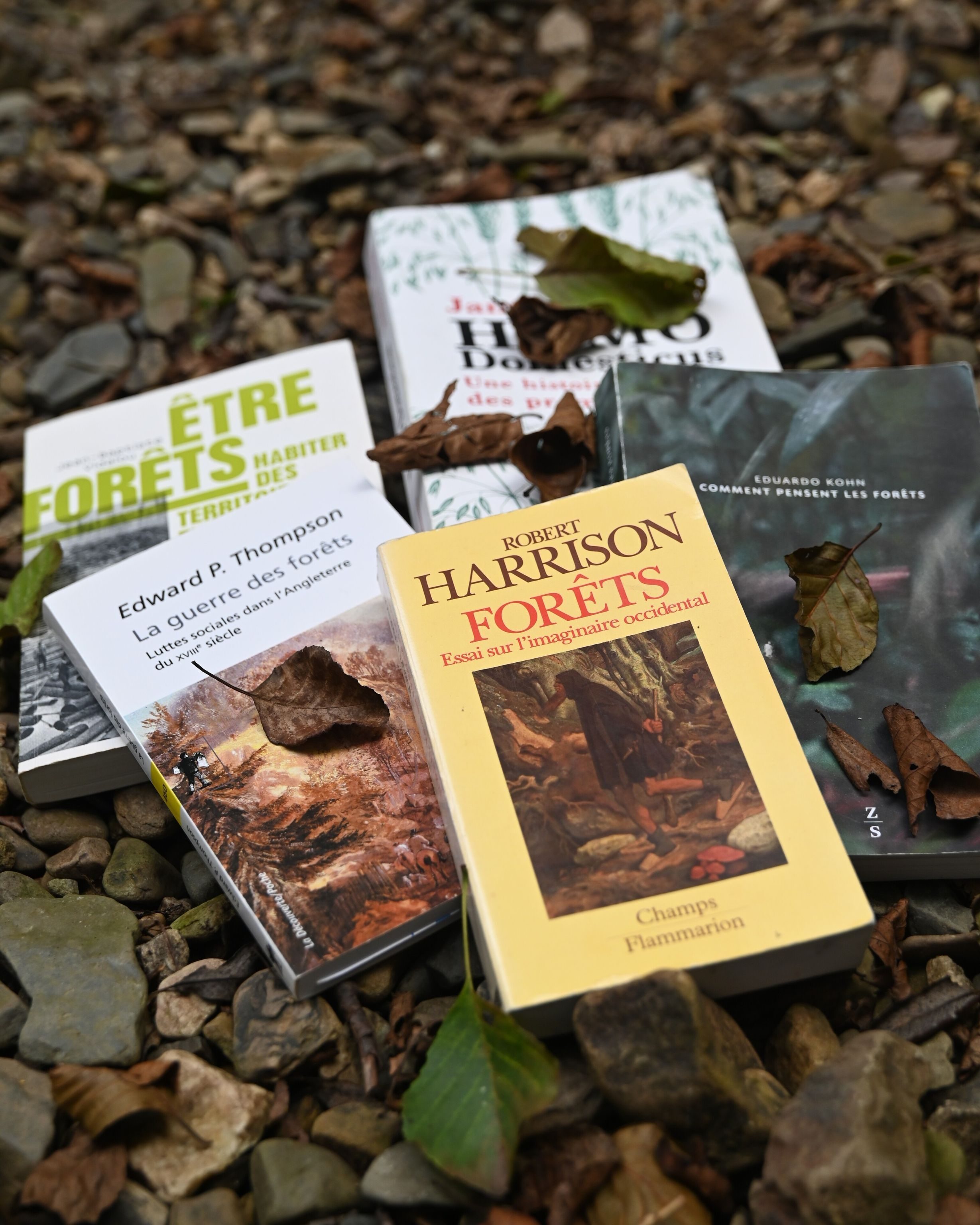 5 livres pour penser la forêt autrement