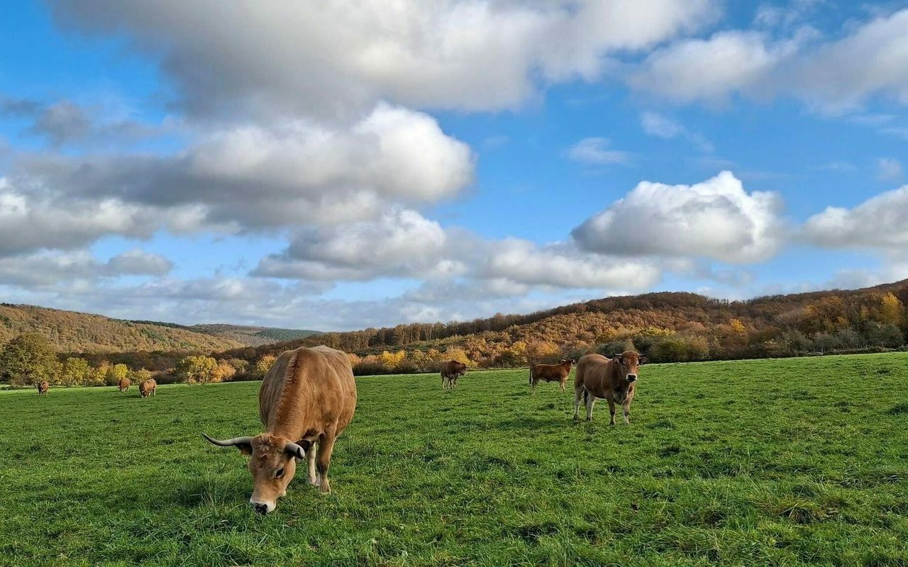 etoiles - Nationaal Park ESEM